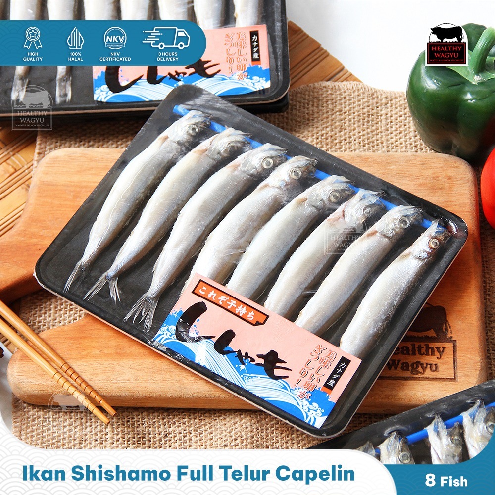 Jual Ikan Shisamo Full Telur Capelin Fish Premium Quality Import 8 pcs ...