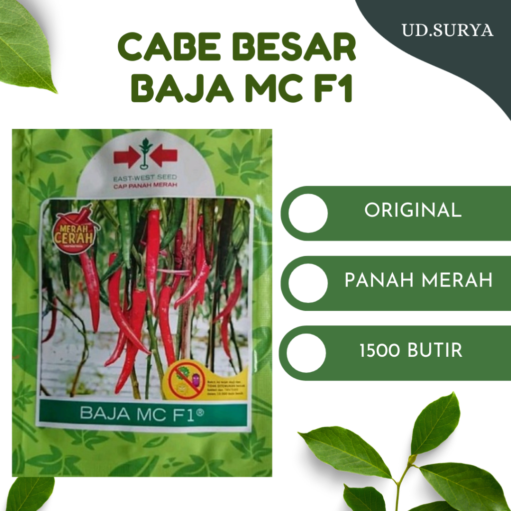 Jual BENIH CABE BESAR BAJA MC F1 1500 BUTIR PRODUK PANAH MERAH | Shopee ...