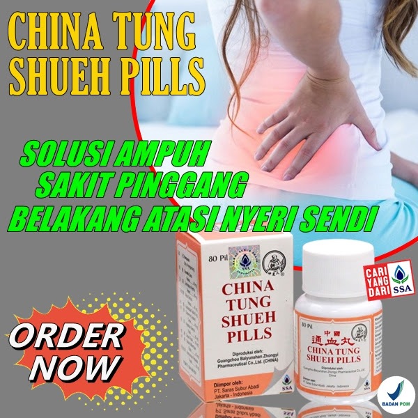 Jual China Tung Shueh Pills Tung Sueh 80 Pil Obat Rematik Dan Nyeri ...