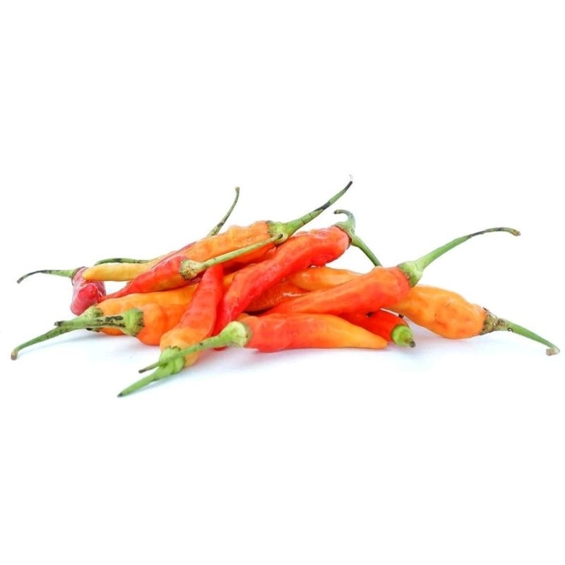 Jual Cabe Rawit Merah / Cabe Rawit / Cabai Rawit Pedas / Cabe Setan ...