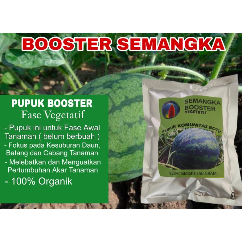 Jual Pupuk Semangka Booster Organik Fase Vegetatif | Shopee Indonesia