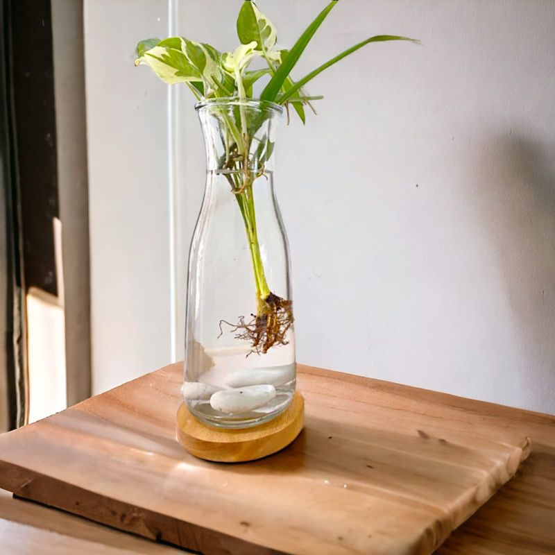 Jual Vas bunga kaca bening tinggi estetik / Vas bunga aesthetic / Vase ...