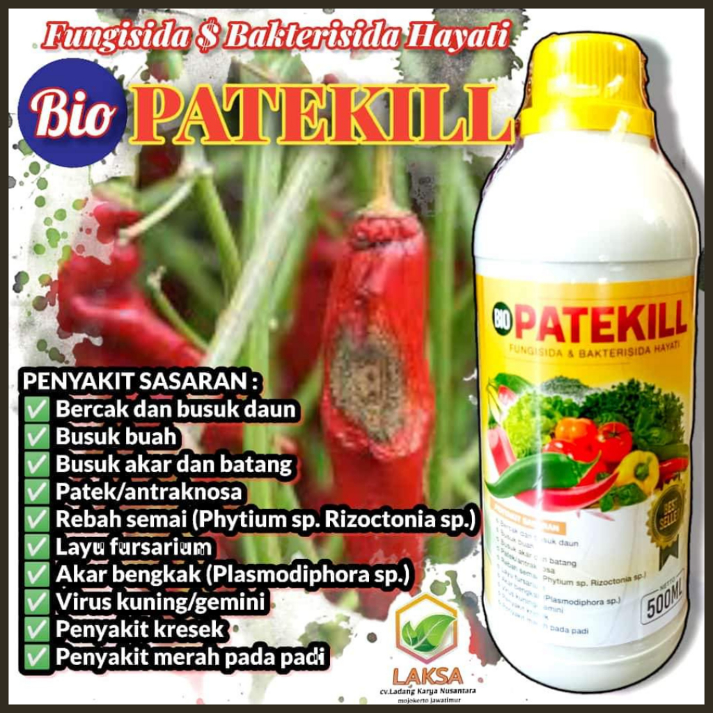 Jual PUPUK Pupuk tricoderma Cair untuk mengatasi busuk akar dan buah, Fungisida Hayati ...