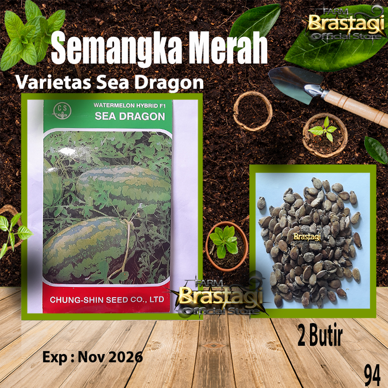 Jual FBTG - 2 Benih Semangka Sea Dragon Import - Bibit Buah Premium ...