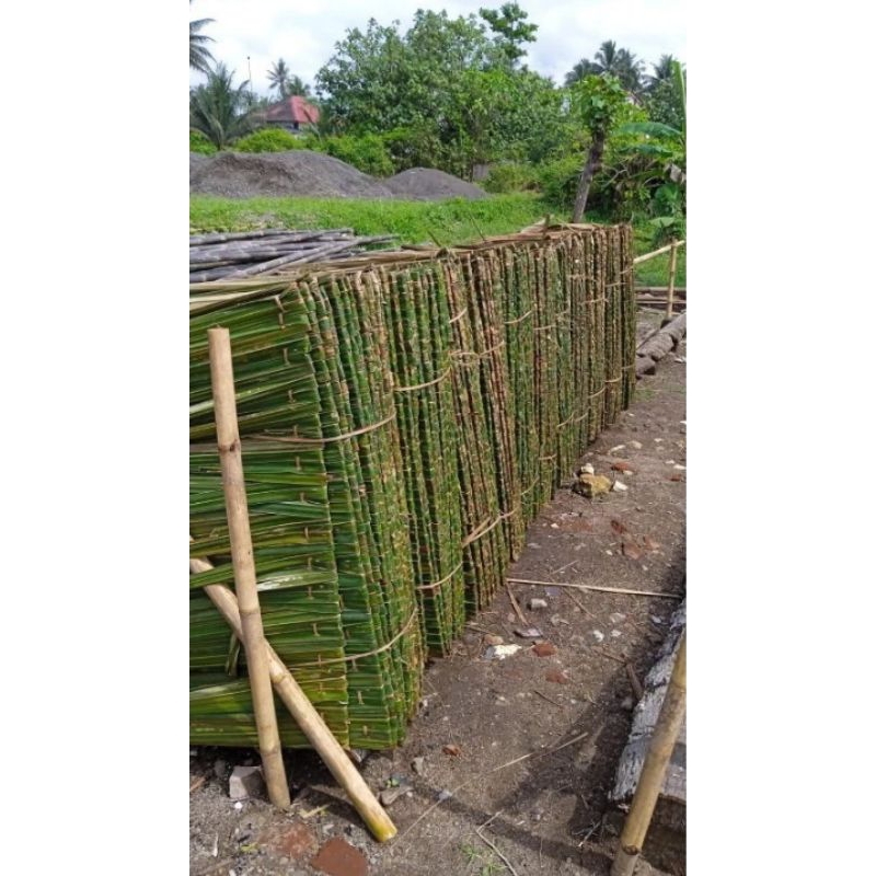 Jual atap daun rumbia atou atap dahon gazebo natural 20lembar rp 100000 ...