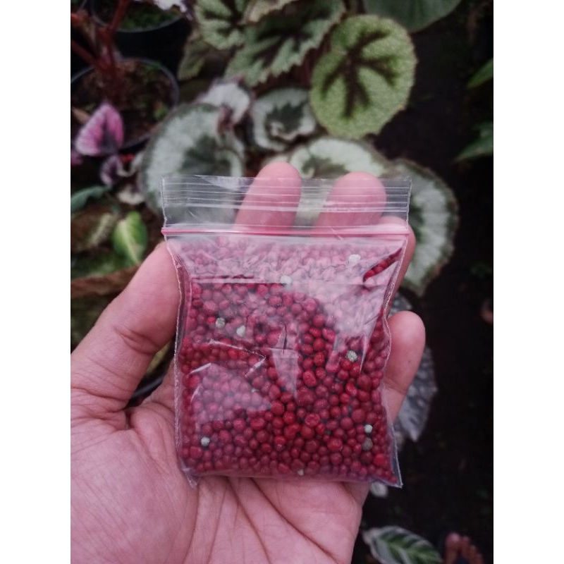 Jual pupuk dekastar merah 50 gr | Shopee Indonesia