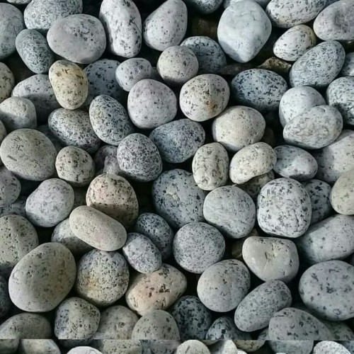 Jual BATU KORAL TELUR PUYUH 1 KG / BATU TAMAN KORAL TELUR PUYUH 1 KG ...
