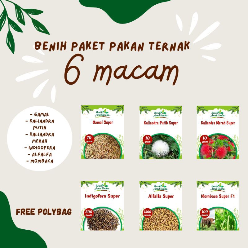 Jual Paket pakan ternak 6 macam/ benih pakan ternak Gamal super/benih ...