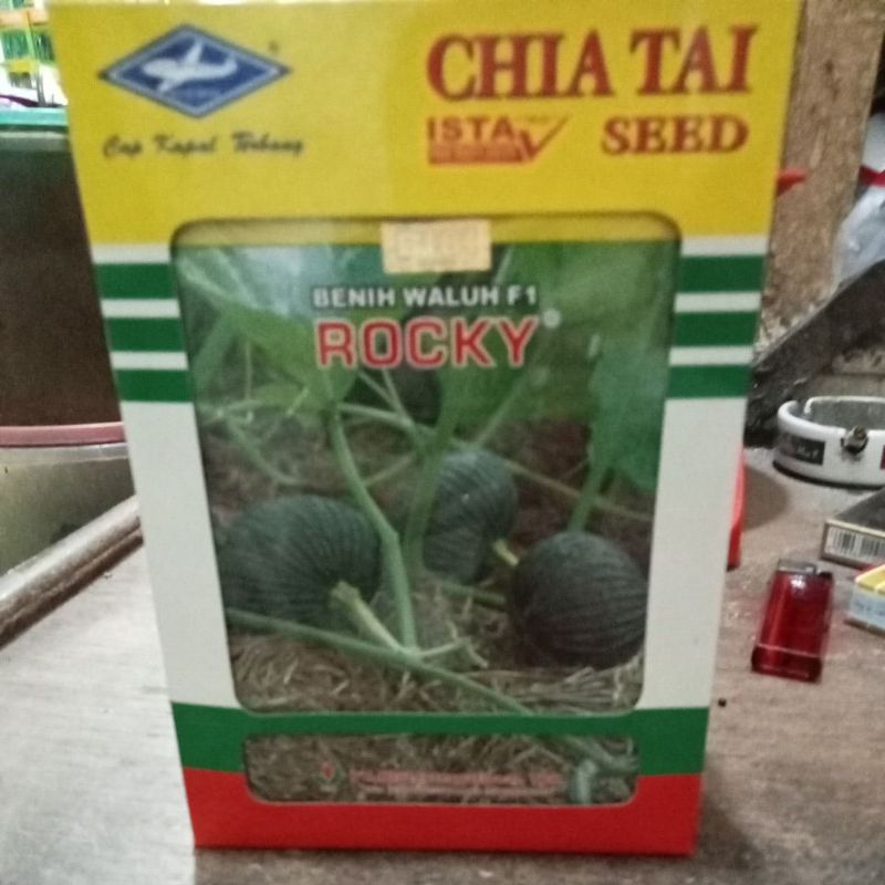 Jual BENIH Waluh LABU Rocky F1 5G | Shopee Indonesia