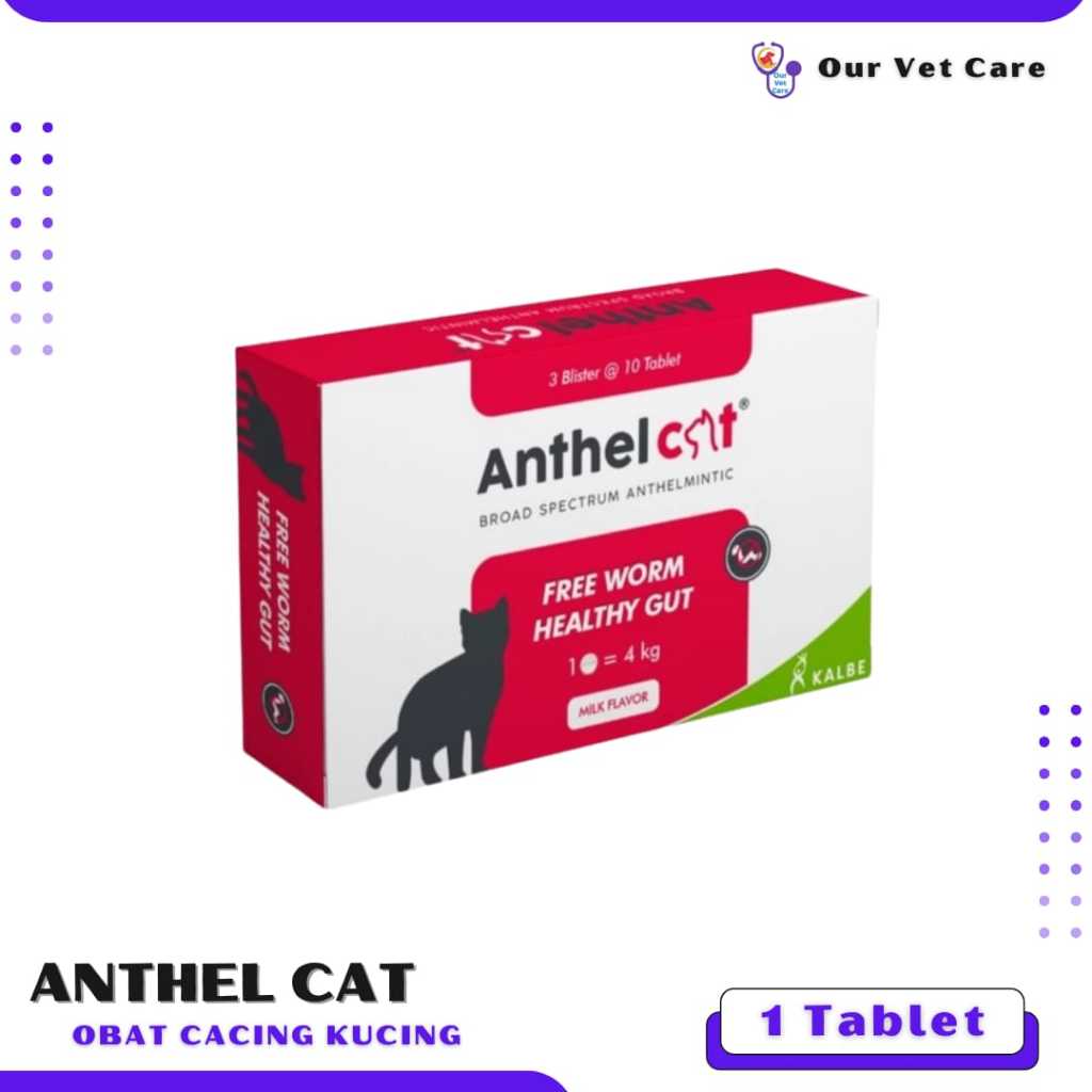 Jual ANTHEL CAT OBAT CACING KUCING - 1 TABLET | Shopee Indonesia