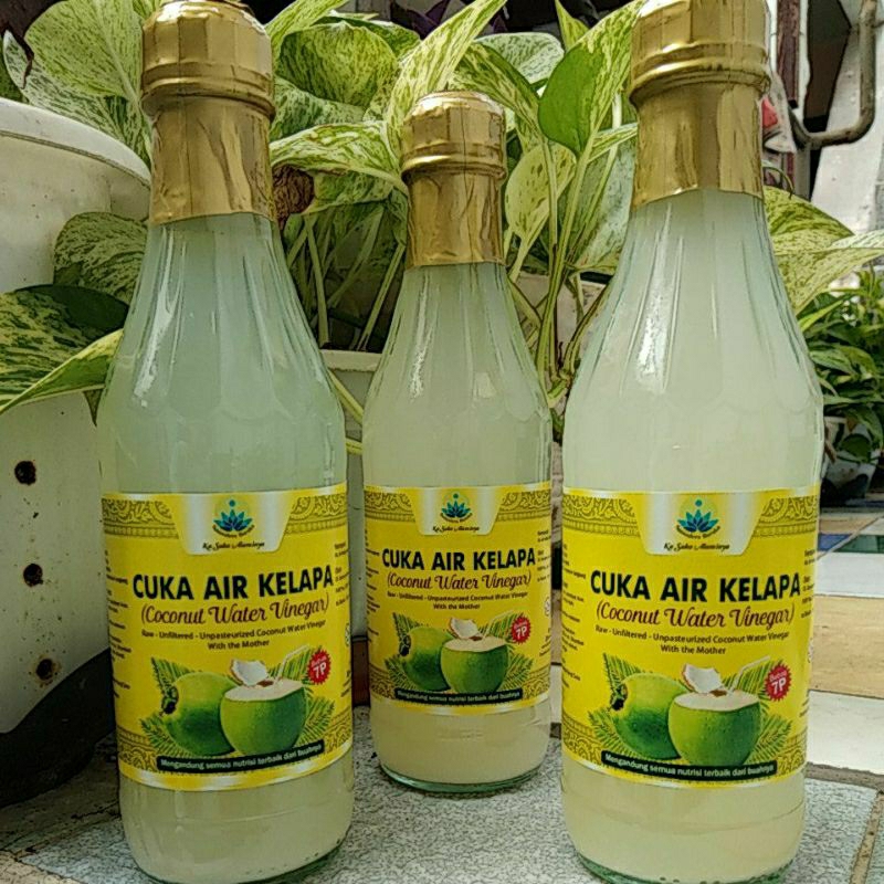 Jual Cuka Kelapa Air Kelapa Coconut Water Vinegar lokal Surabaya Jawa ...