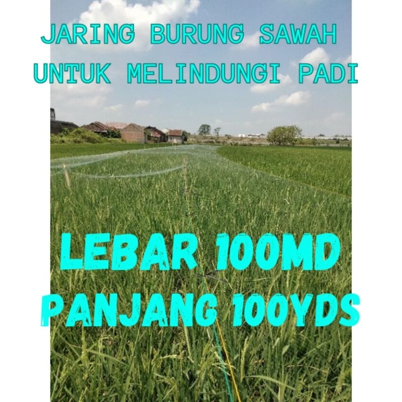Jual jaring sawah jaring burung jaring padi lubang 2 jari jaring ...