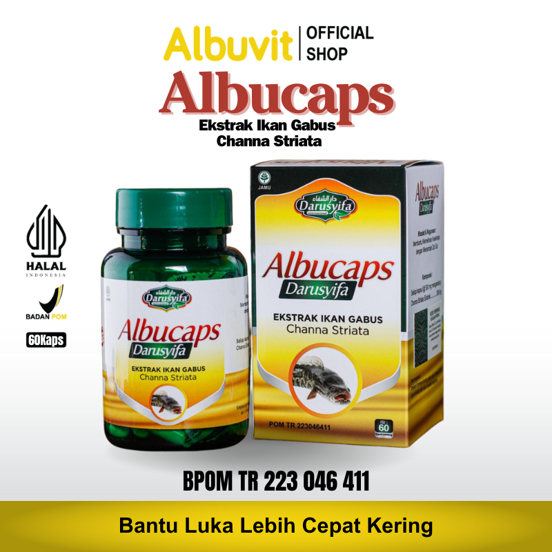 Jual Kapsul Sari Kutuk ALBUCAPS Ektrak Ikan Gabus Channa Striata - Luka Lebih Cepat Kering ...