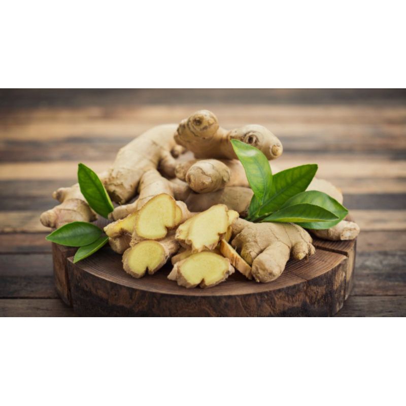 Jual Jahe murah 1 kg segar | Shopee Indonesia