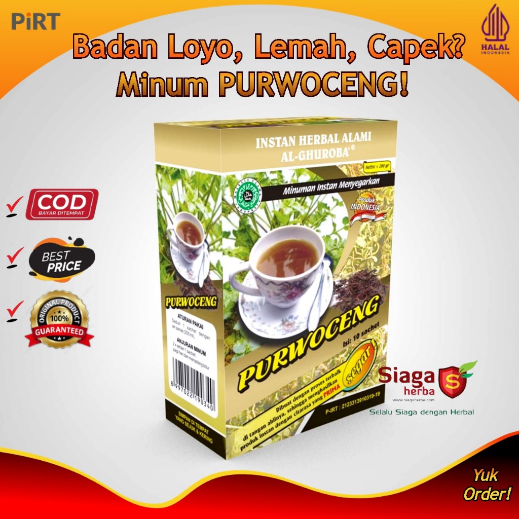 Jual Instan Purwoceng Antanan Gunung Purwaceng Minuman Jamu Herbal Kuat ...