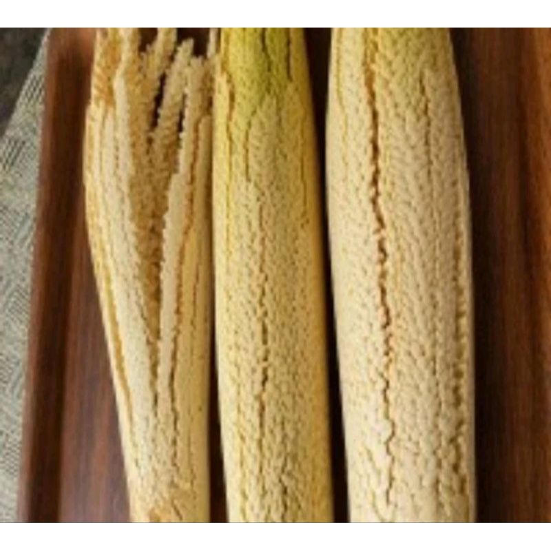 Jual BUNGA KLAPA SEGAR Bunga klapa segar kuncup/mancung kelapa/manggar ...