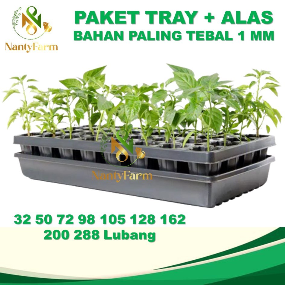 Jual Paket Tray Semai Potray Pot Semai dan Alas Tray 32 50 72 98 105 ...