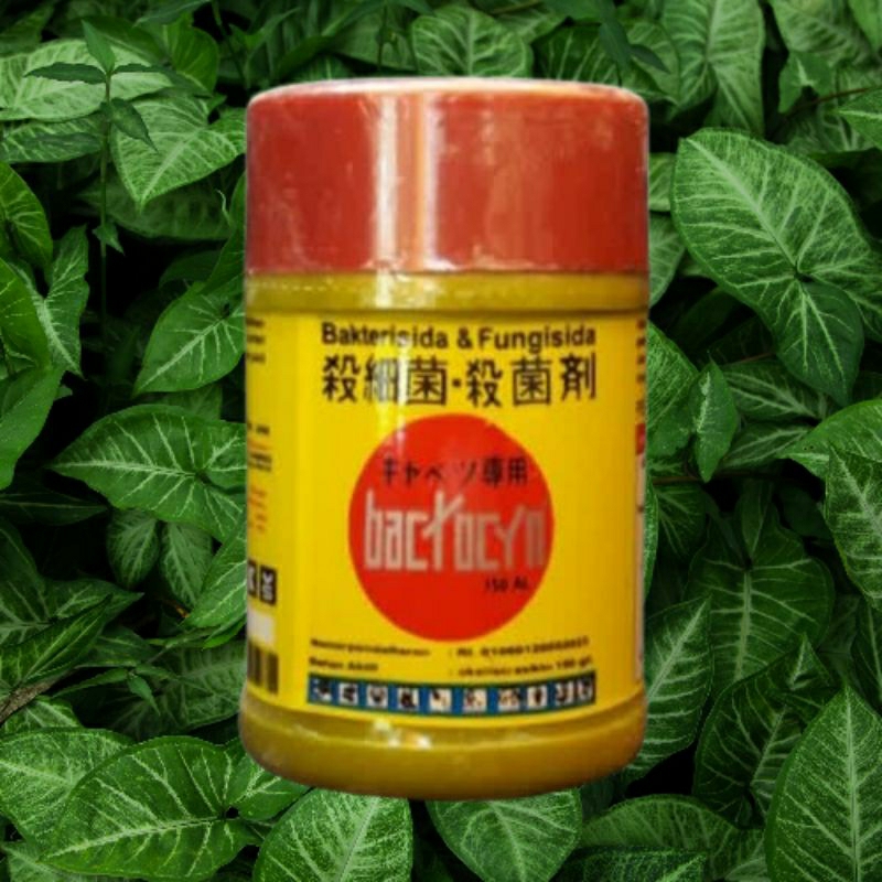 Jual Bactocyn 150 AL (Bakterisida-Fungisida) 100 ml | Shopee Indonesia