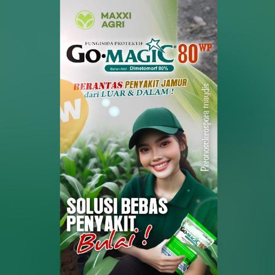 Jual FUNGISIDA GO MAGIC 80 WP 50 GRAM - SOLUSI BEBAS BULAI JAGUNG | Shopee Indonesia