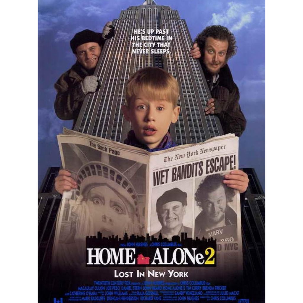 Jual Dvd Home Alone 2 Lost in New York (1992) Dub ID | Shopee Indonesia