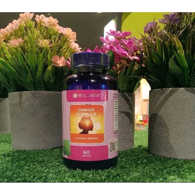 Jual Wellness Ginkgo Formula ( 60 Kapsul ) | Shopee Indonesia