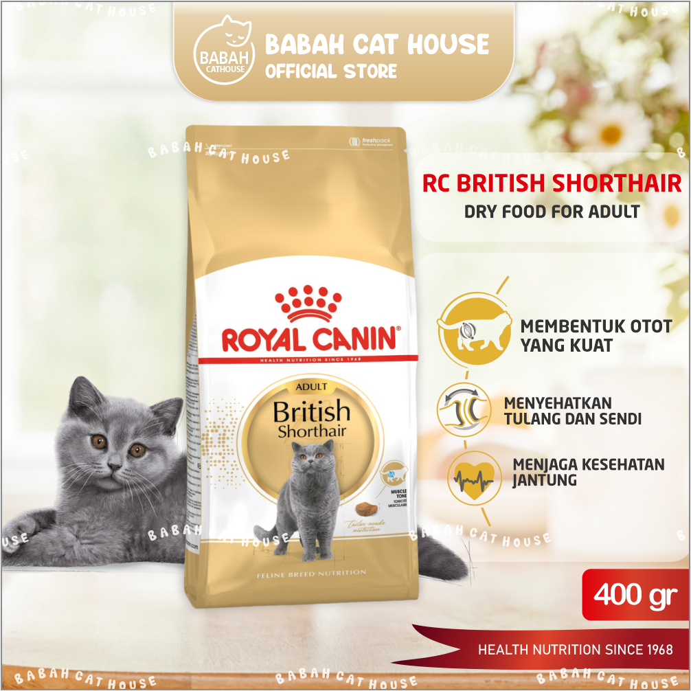 Jual RC BRITISH SHORTHAIR ADULT 400gr Royal Canin British Short Hair ...