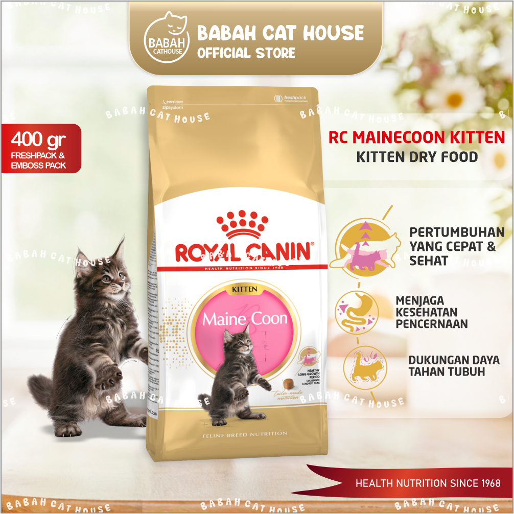 Jual RC KITTEN MAINE COON KITTEN 400gr Cat Food Royal Canin Makanan ...