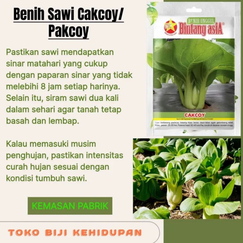 Jual BENIH BINTANG ASIA SAWI PAKCOY / CAKCOY ( KEMASAN PABRIK ...
