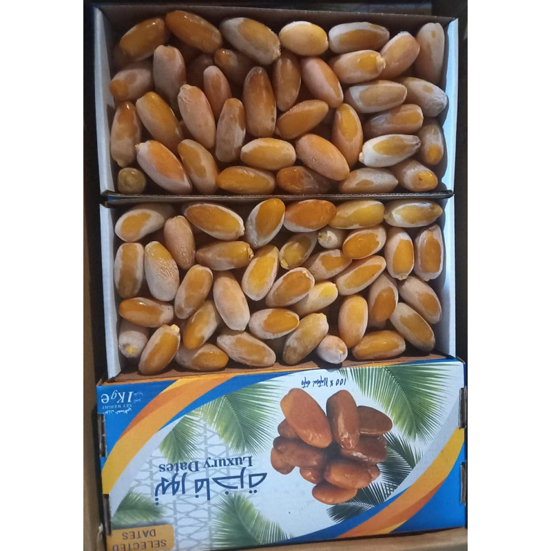 Jual Kurma Ruthob Libya 1kg Fresh kurma muda (KURMA FROZEN) | Shopee ...