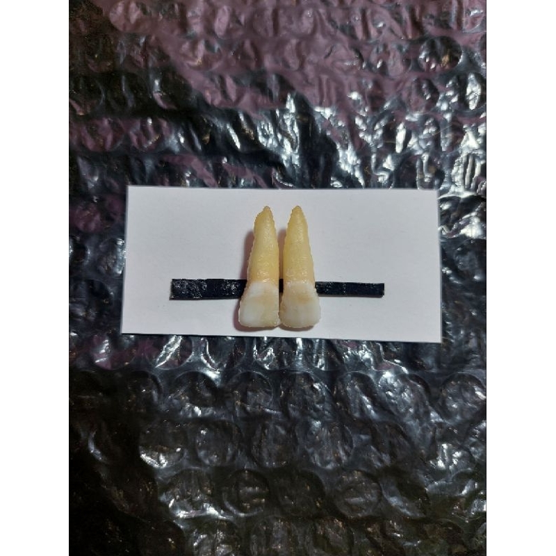 Jual Gigi Insisif Identik RA | Shopee Indonesia