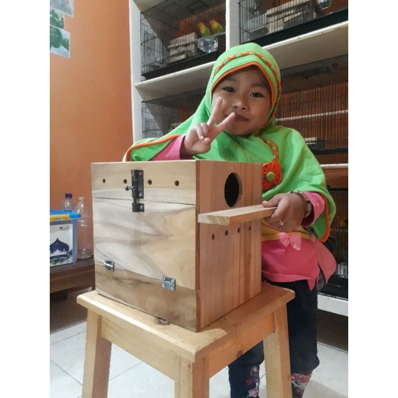 Jual Glodok love bird kotak model kiri | Shopee Indonesia