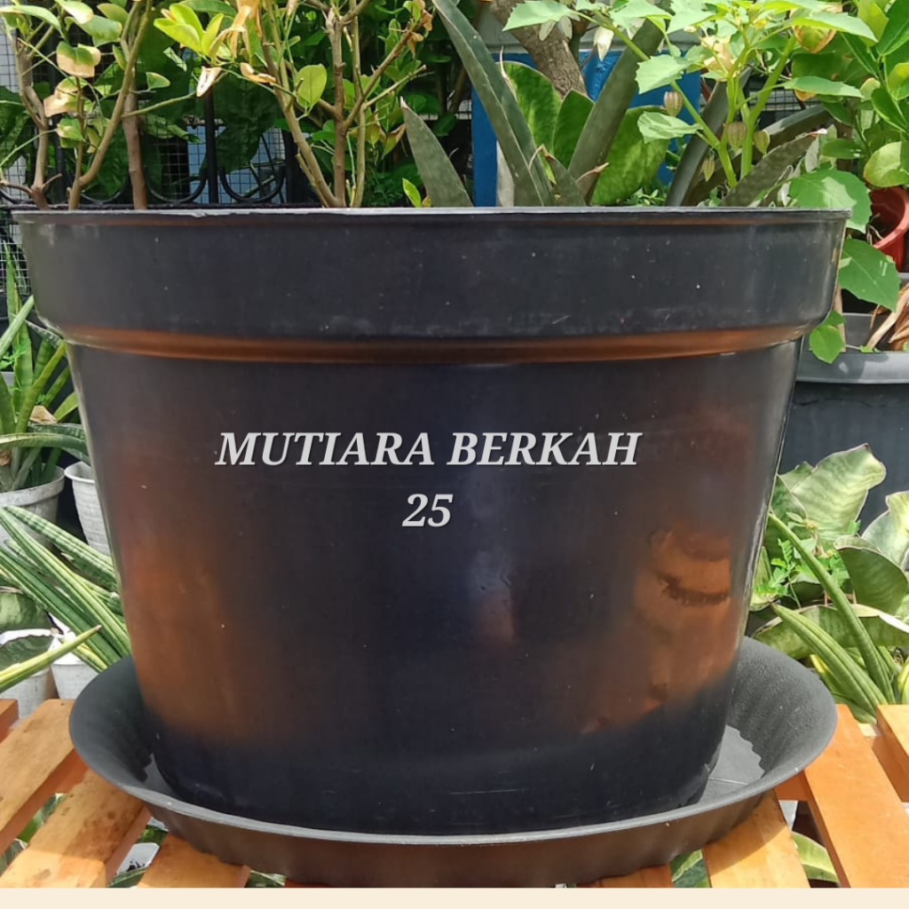 Jual POT HITAM 40 CARGO/ POT/ POT BUNGA/POT META/ POT TANAMAN/ POT BUAH ...