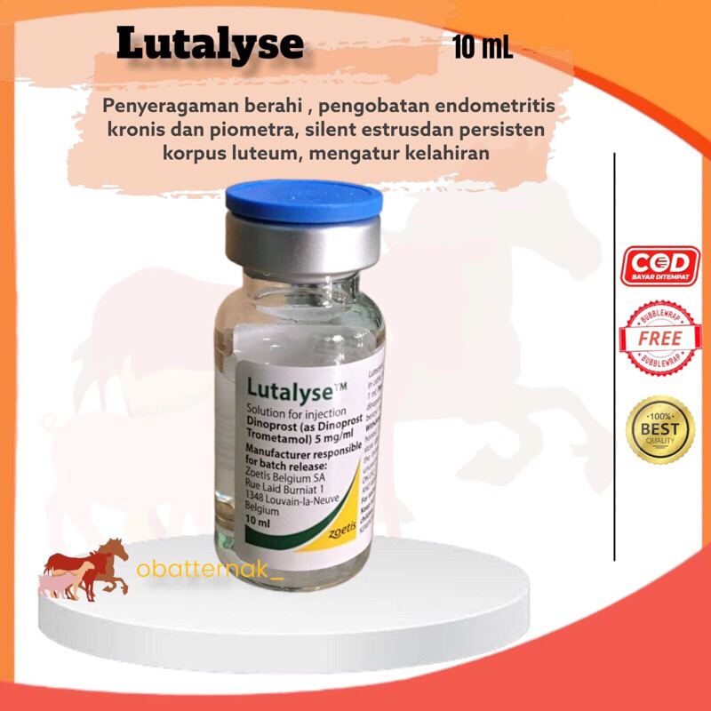 Jual Lutalyse Injeksi 10ml | Shopee Indonesia