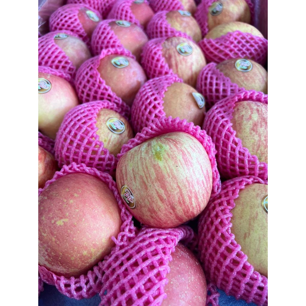 Jual Apel Fuji RRC 5kg | Shopee Indonesia