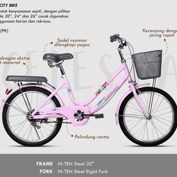 Jual Sepeda mini 20 inch genio anak cewek usia 7-14 tahun celesta ...