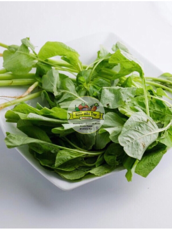 Jual Bayam / Kangkung / Pakcoy / Sawi Hijau / Sawi Caisim ~Per 1 ikat ...
