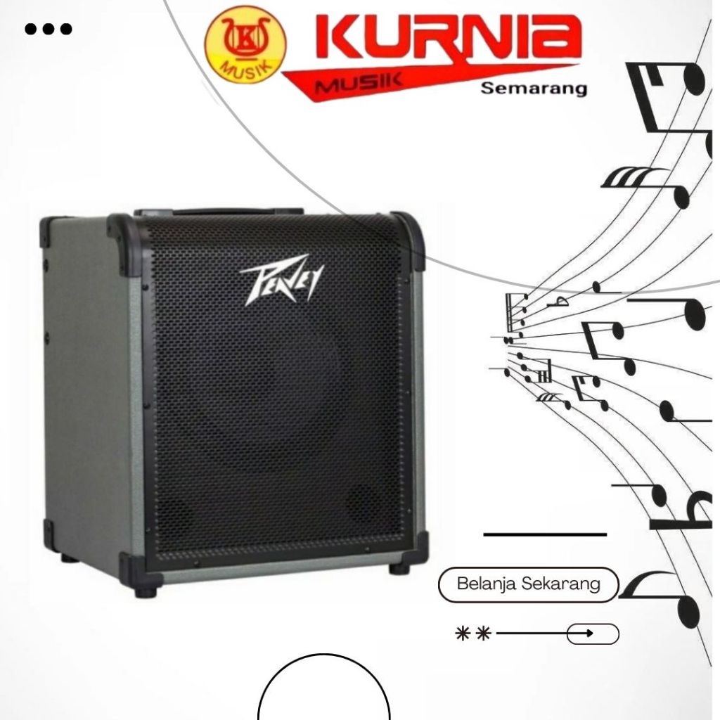 Jual Peavey MAX100 - MAX 100 - MAX-100 Watt Amplifier Premium 10 ...