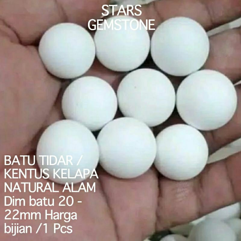 Jual BATU TIDAR /KENTUS KELAPA BULAT NATURAL ALAM 100% | Shopee Indonesia