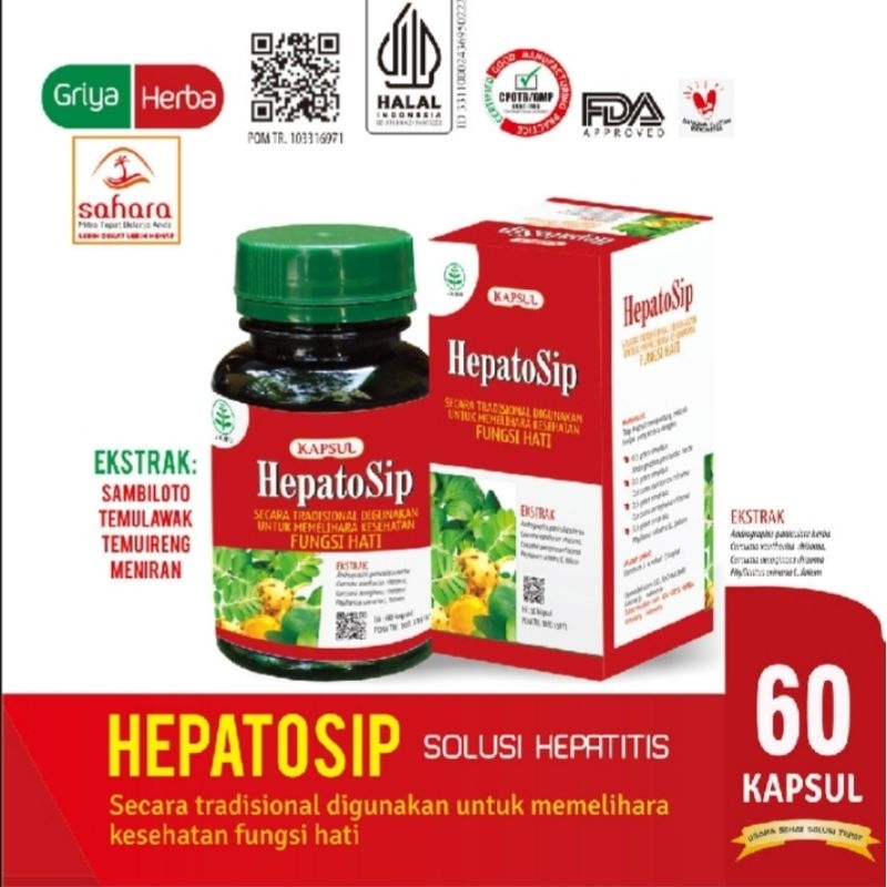 Jual HEPATOSIP Obat Liver & Hepatitis ABCDE Liver bengkak Sirosis Hati ...