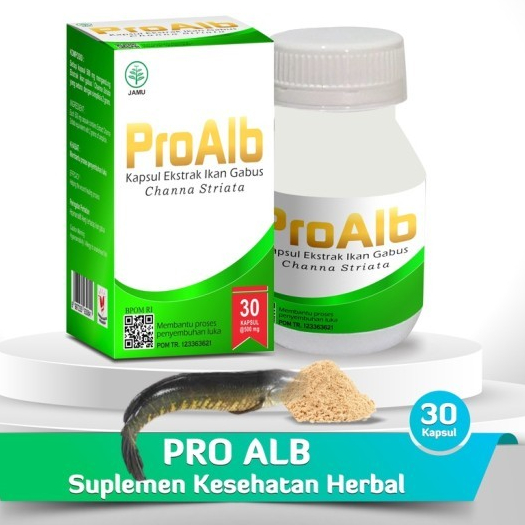 Jual PROALB Channa Obat Herbal luka cepat kering Luka Operasi Bernanah ...