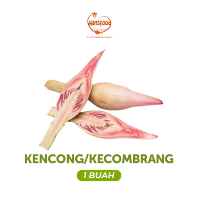 Jual Kincong / Kencong / Kincung / Kecombrang per buah | Shopee Indonesia