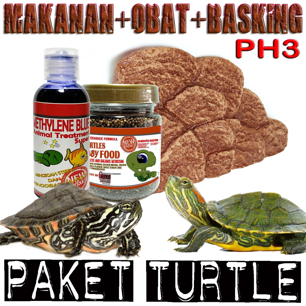 Jual PAKET HEMAT PH3 PERLENGKAPAN KURA KURA AIR TURTLE TURTLES BRAZIL ...