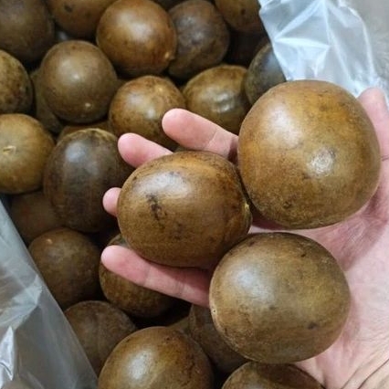 Jual LOU HAN GUO BESAR PREMIUM LOU HAN KUO ASLI BEST SELLER | Shopee ...