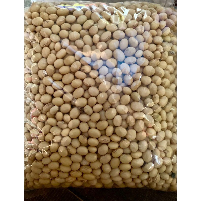 Jual ART U96Z 1 KG BENIH KEDELAI BERSERTIFIKAT VARIETAS GROBOGAN SIAP ...