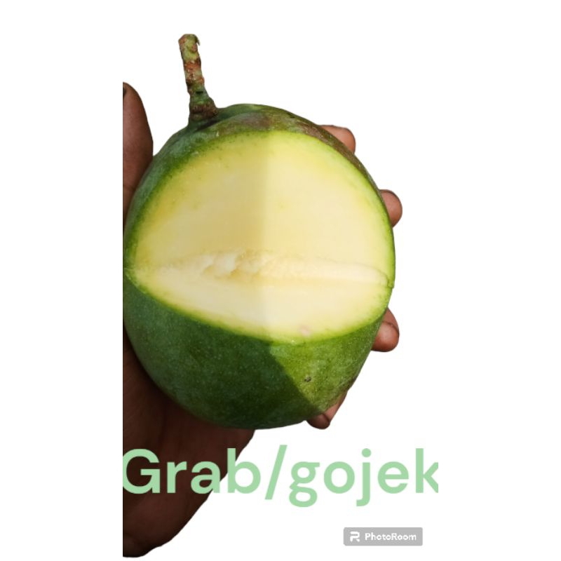 Jual MANGGA MUDA FRESS MANGGA MUDA FREES 1kg | Shopee Indonesia Jual MANGGA MUDA FRESS MANGGA MUDA FREES 1kg | Shopee Indonesia