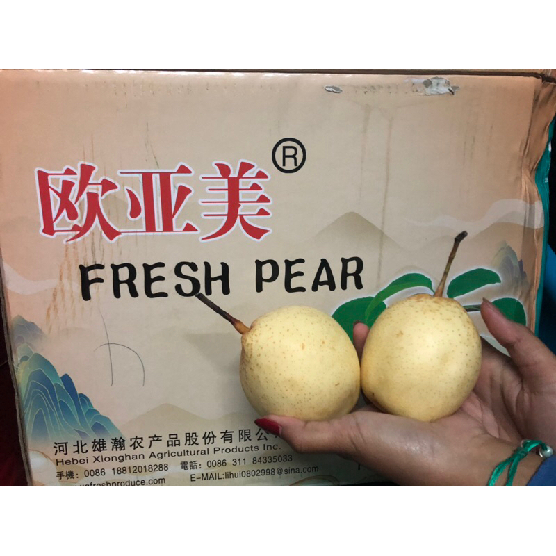 Jual Pear Yalie Jizhou Size 80/kg | Shopee Indonesia