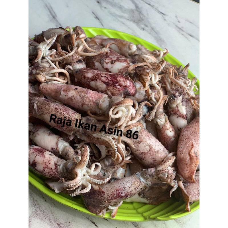 Jual Cumi Rebus Asin Kualitas Super Premium / Sotong Jarum / Cumi Rebus ...