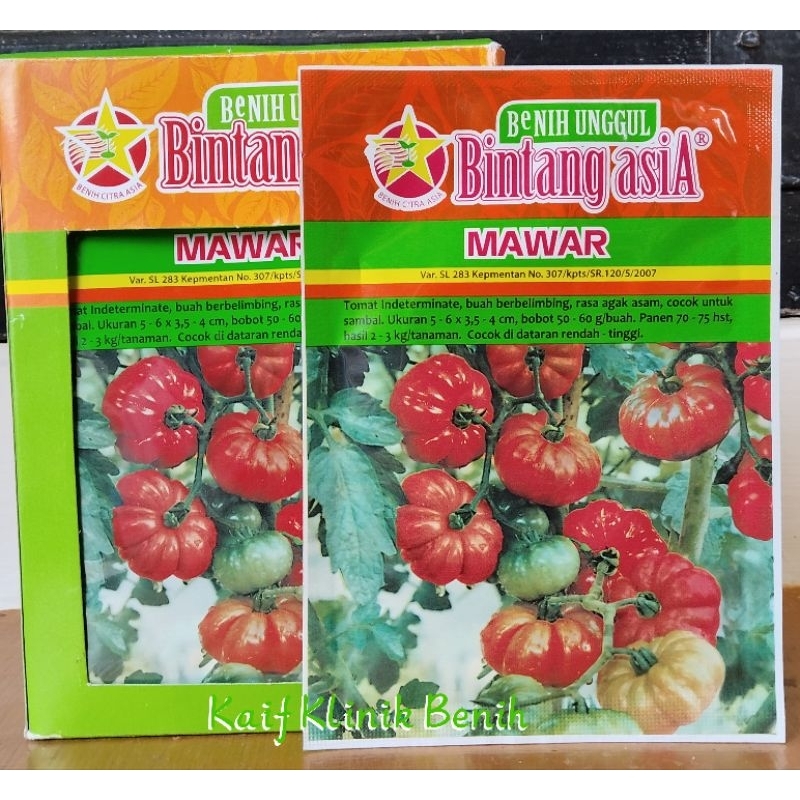 Jual Benih Tomat MAWAR 10 Gram - Tomat Ranti / Keriting Cap Bintang ...