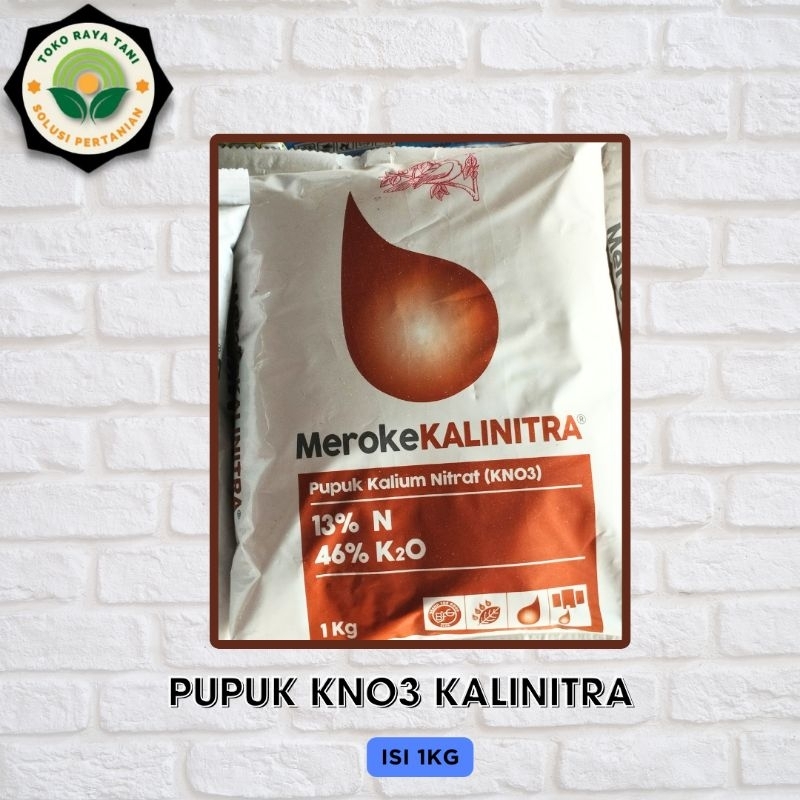 Jual Jual Pupuk Kn03 putih Kalinitra isi 1kg | Shopee Indonesia