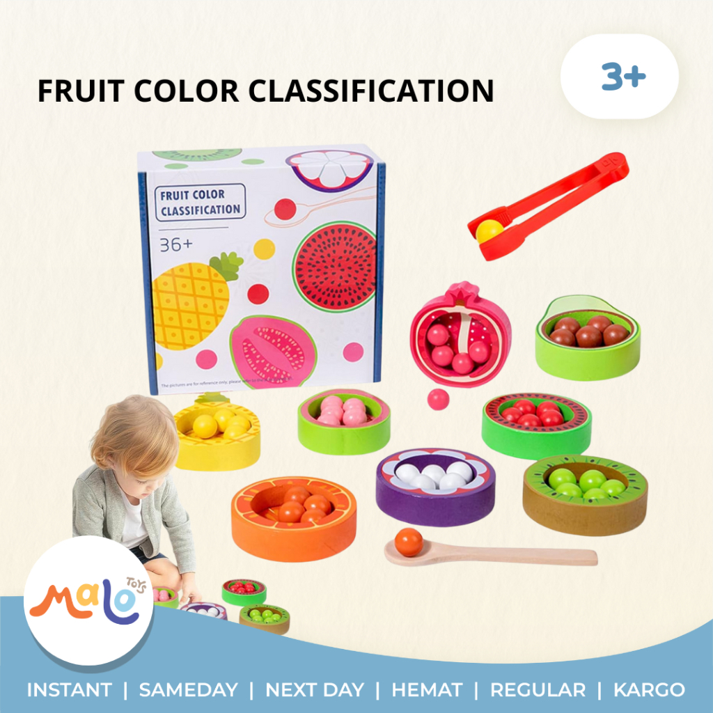 Jual MALOTOYS - Fruit Color Sorting Classification Mainan Edukasi Buah ...